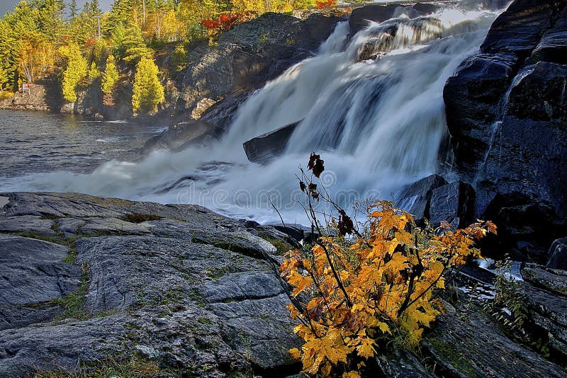 Low Angle View of High Fall - Long Exposure of Waterfall with a Plant ...