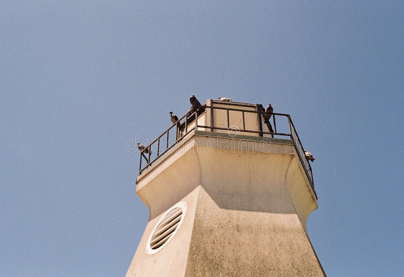 Low Angle View of a Lighthouse with Birds Perched on Top Against a ...