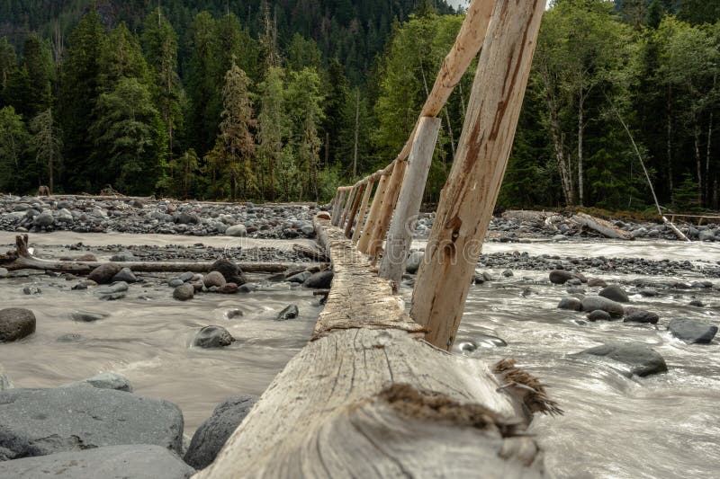 Low Angle View of Log Bridge Across Carbon River Stock Image - Image of ...
