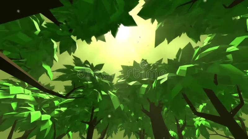Low Angle View of Lush Green Forest Canopy with Sunlight Streaming ...
