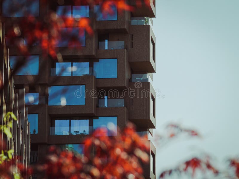 Low Angle View of a Modern Building Behind Branches Stock Photo - Image ...