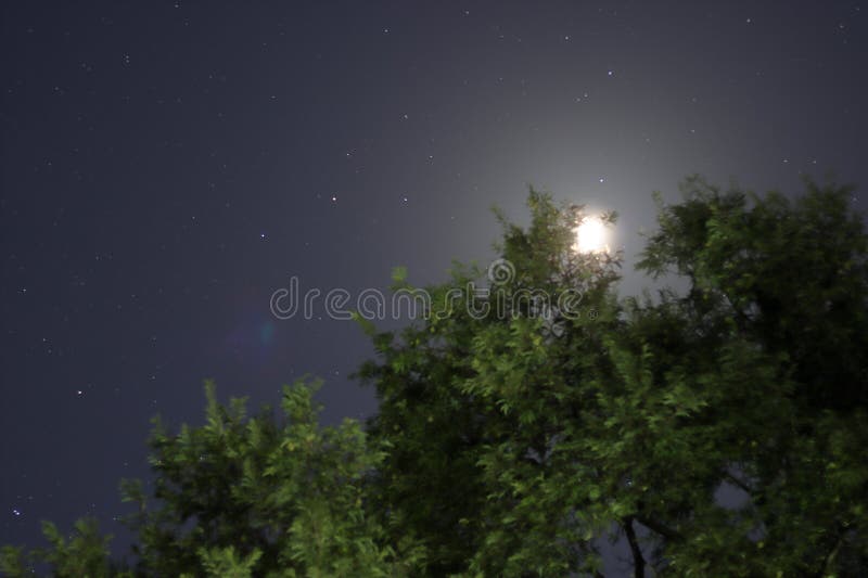 Low Angle View of Moon Against Sky at Night Stock Image - Image of ...