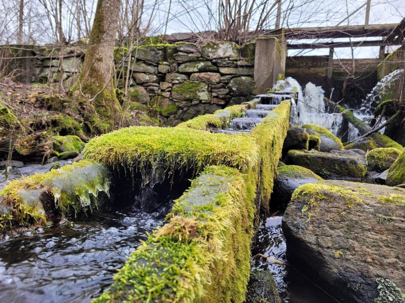 Low Angle View of a Mossy Rock Cascade Against a Brick Wall Stock Photo ...