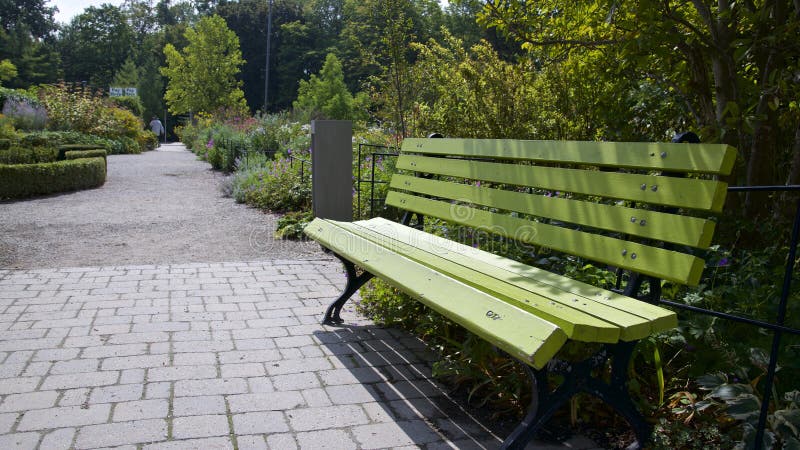 Bench in Toronto park stock image. Image of leaves, wooden - 283980425