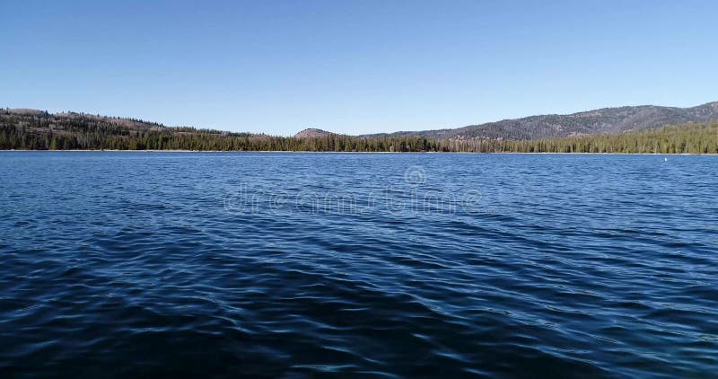 Low Angle View of Redfish Lake in Stanley Stock Video - Video of ...