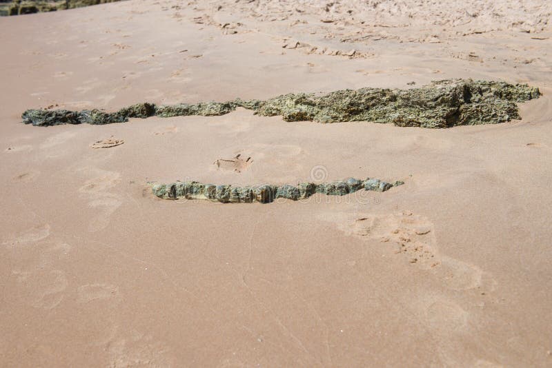 Low Angle View of Rocks Over Beach Stock Photo - Image of geological ...