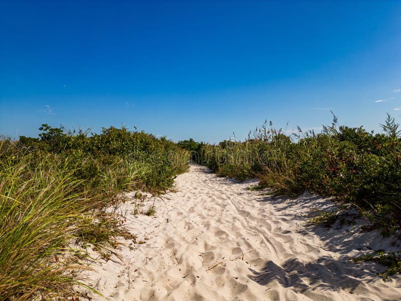 Low Angle View of a Sandy Path on Captree Beach on Long Island Stock ...