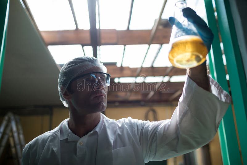 Low Angle View of Scientist Examining Beer in Factory Stock Photo ...