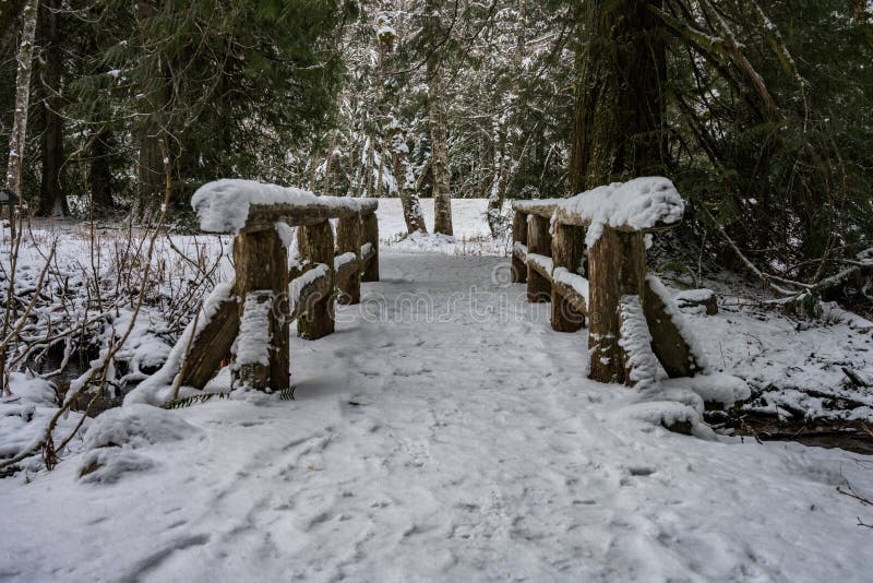Low Angle View of Snow Covered Bridge Stock Photo - Image of wilderness ...