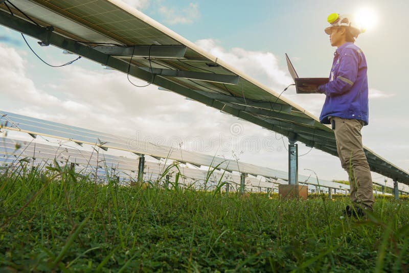 The Low Angle View of the Solar Farm and the Engineers are Using the ...