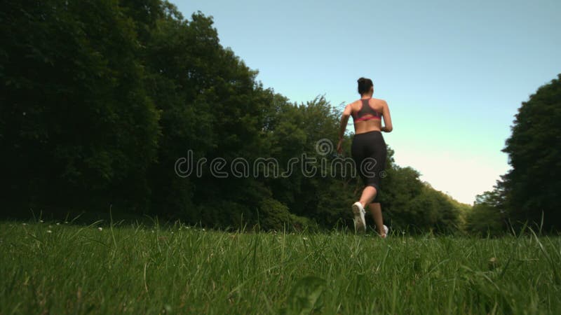 Low Angle View of Sporty Womans Back Running on Grass Stock Footage ...