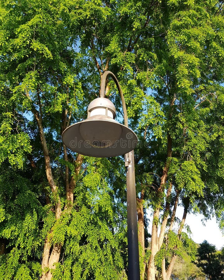Low Angle View of Street Lamp at Park Stock Photo - Image of outdoor ...