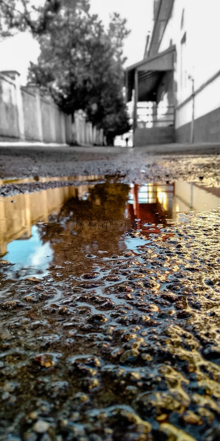Low Angle View of Street Water Puddle in Monochrome Effect Stock Photo ...