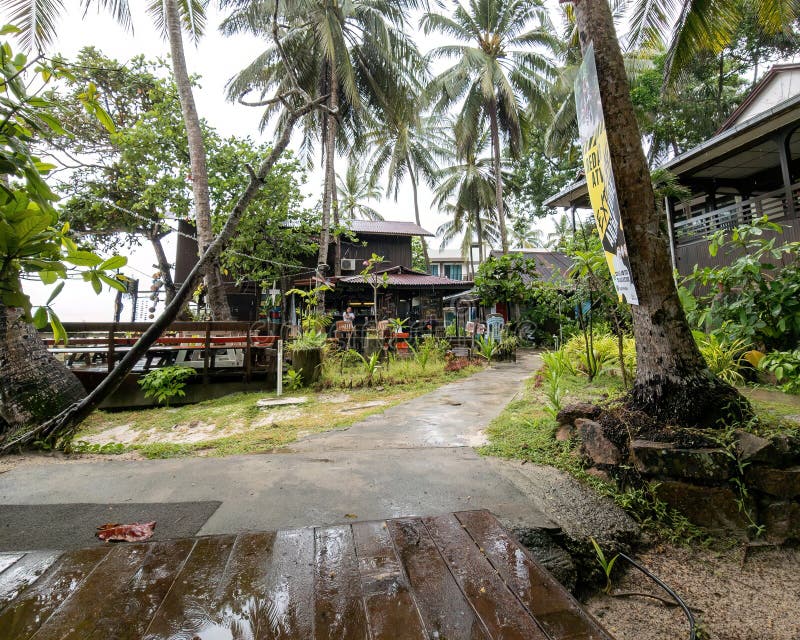 Low Angle View of the Tropical Resort with Trees Editorial Stock Image ...