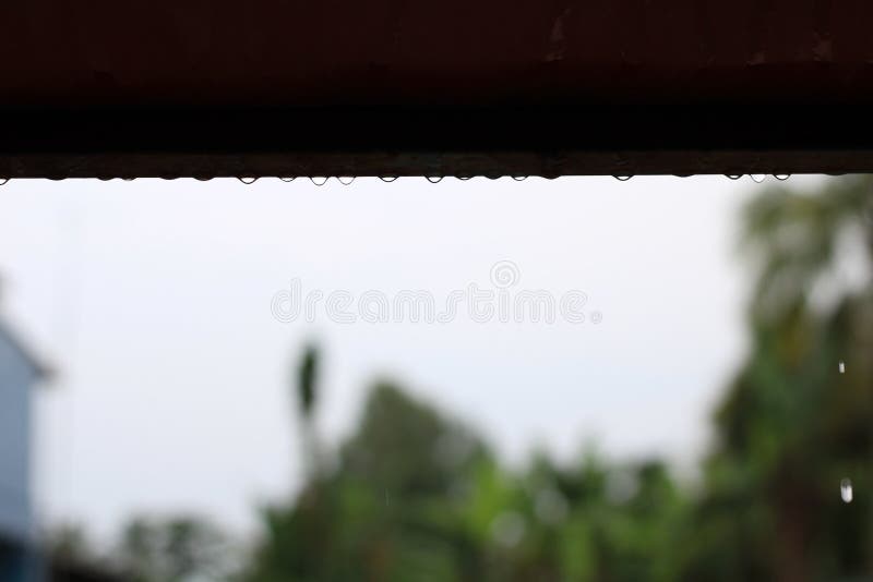 Low Angle View of Water Drop on Roof in the Rainy Day. Stock Photo ...