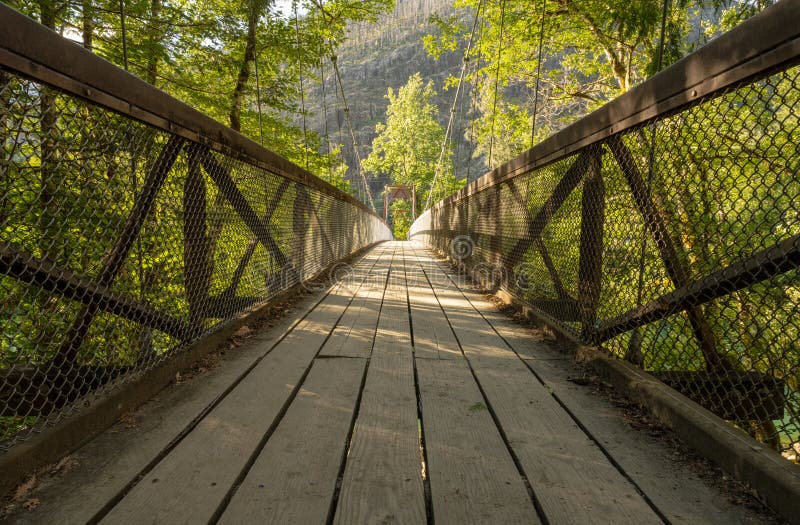 Low Angle View of Wooden Floor of Trail of the Cedars Bridge Stock ...