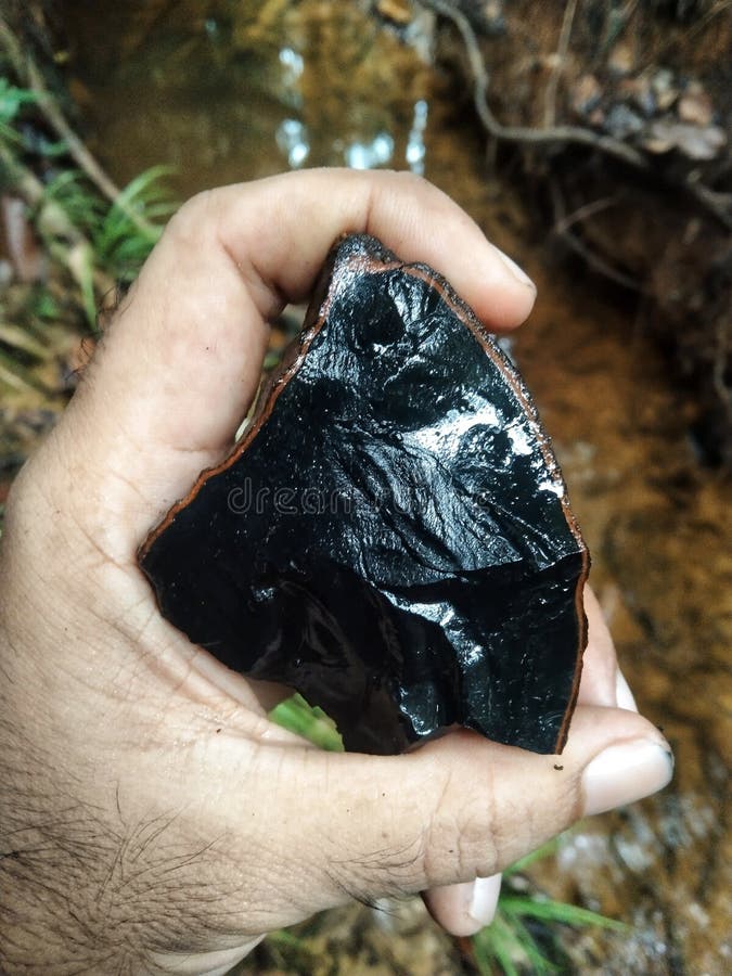 Low-cal coal from nature stock image. Image of invertebrate - 264045241