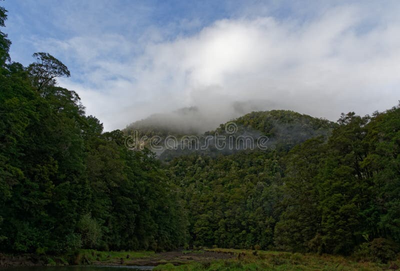Low Cloud Sits Over the Bush Clad Hills Stock Photo - Image of ...