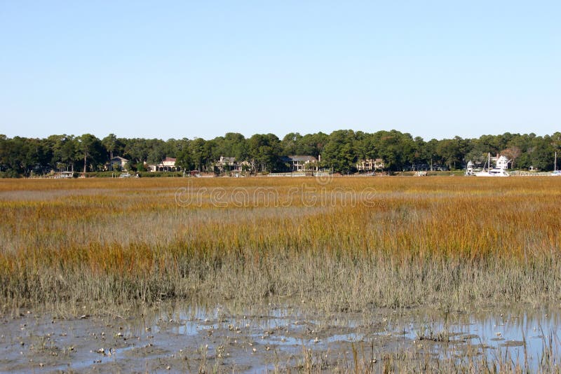 Low Country stock image. Image of tranquil, tourism, blue - 28833343