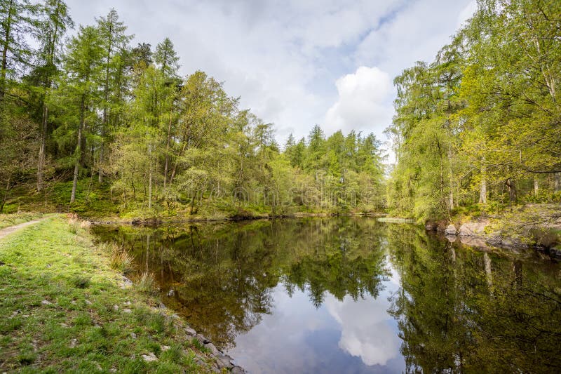 Low Dam in the Lake District Stock Photo - Image of dynamic, high ...