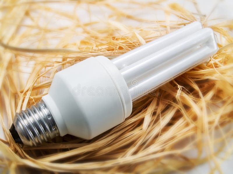 Low energy bulb stock image. Image of ecology, electricity - 4460675