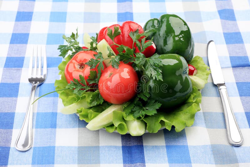 Low fat stock image. Image of cook, healthy, eating, salad - 16817045