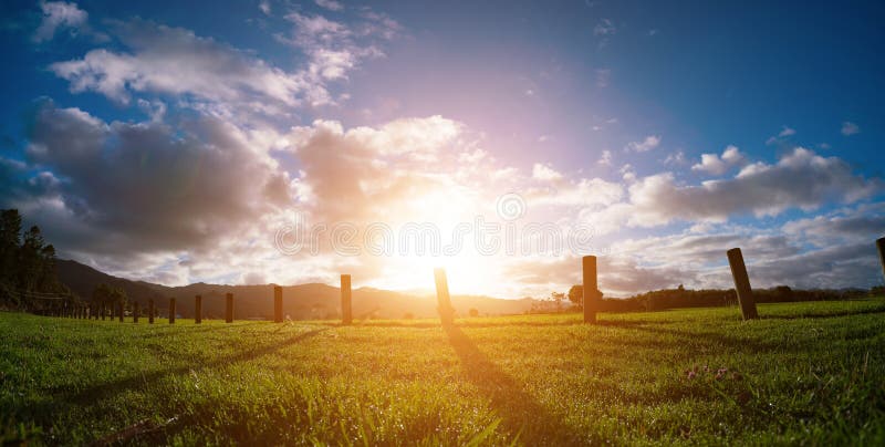 A Low Fence Made of Posts on a Green Meadow Stock Photo - Image of ...