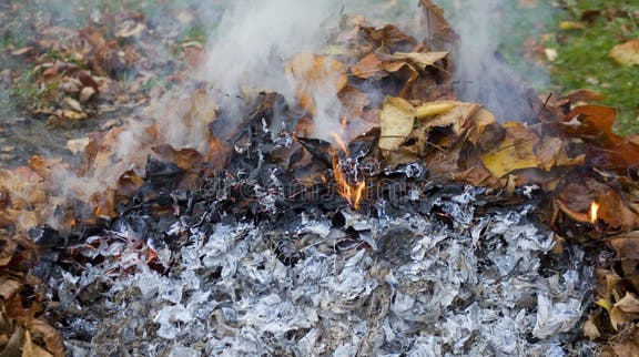 Low flame stock photo. Image of fire, brown, smoke, ashes - 10433630