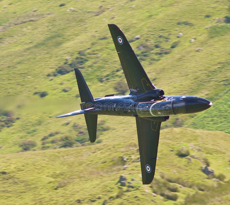 Low Flying stock photo. Image of royal, great, flying - 20833202