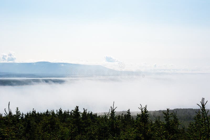 Low Fog between Trees and Distant Mountain Range Stock Photo - Image of ...