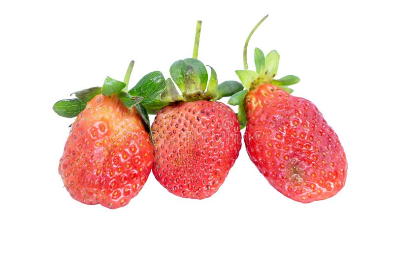 Low-grade, Unattractive Strawberries Stock Image - Image of russia ...