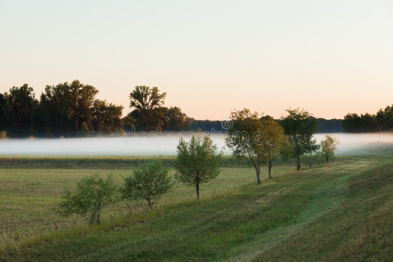 Low Hanging Layer Fog Trees Stock Photos - Free & Royalty-Free Stock ...