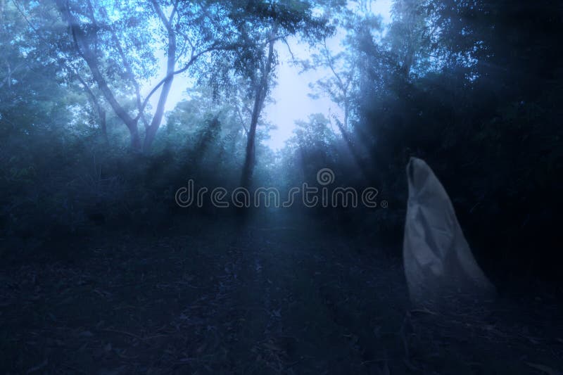 A Blur White Ghost in Forest with Light and Mist Stock Photo - Image of ...