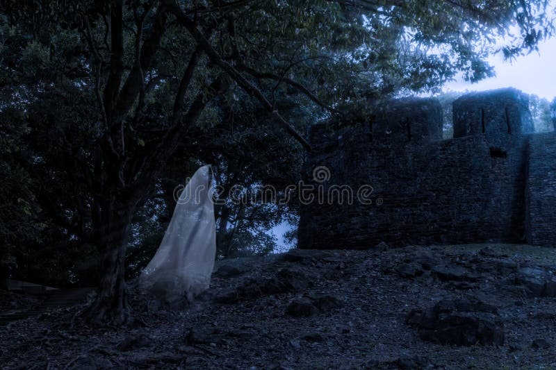A Blur White Ghost Under Big Tree in Ancient Forest Stock Photo - Image ...