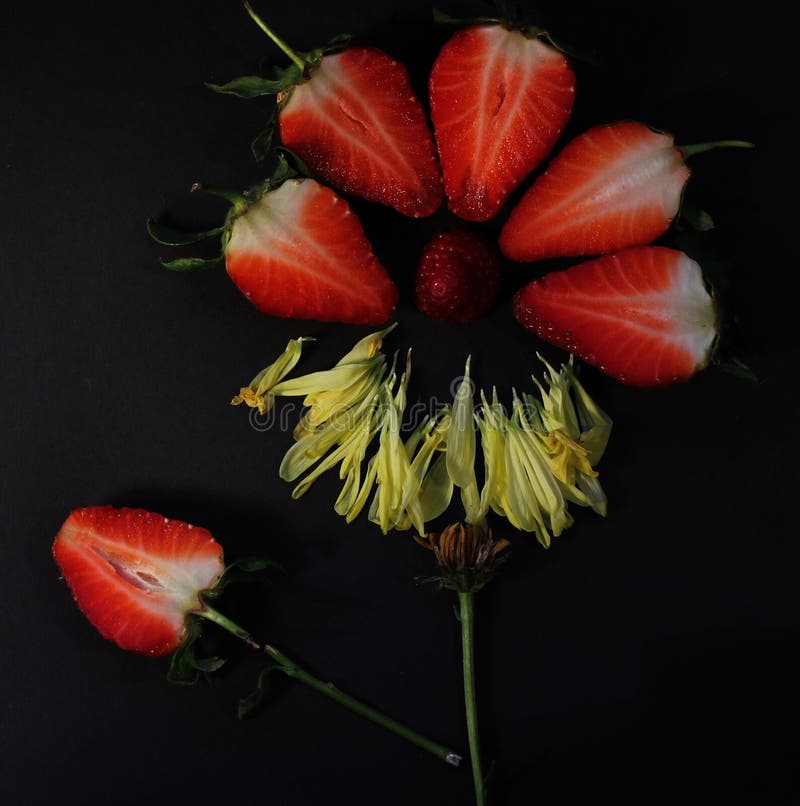 High Key Lighting Rose Petals with Water Stock Photo - Image of flower ...