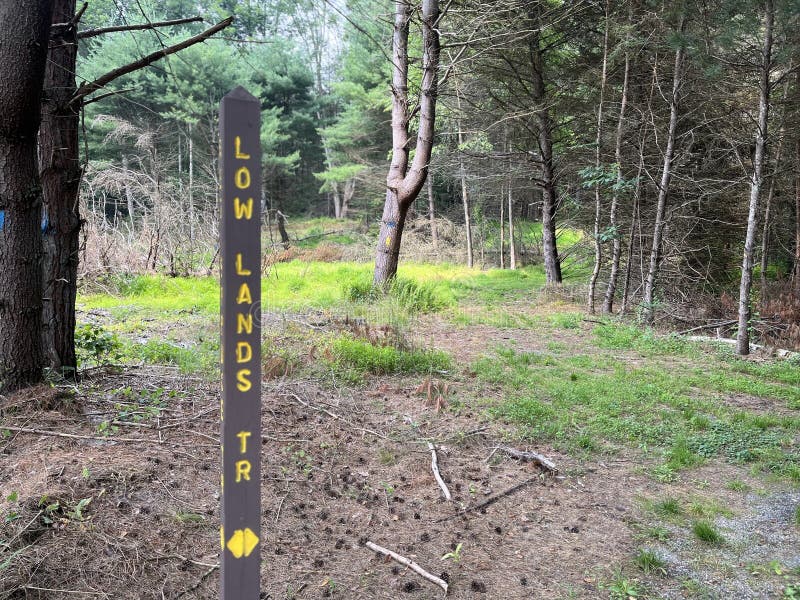 Low Lands Trail Sign Sinnemahoning State Park, Austin, Stock Photo ...
