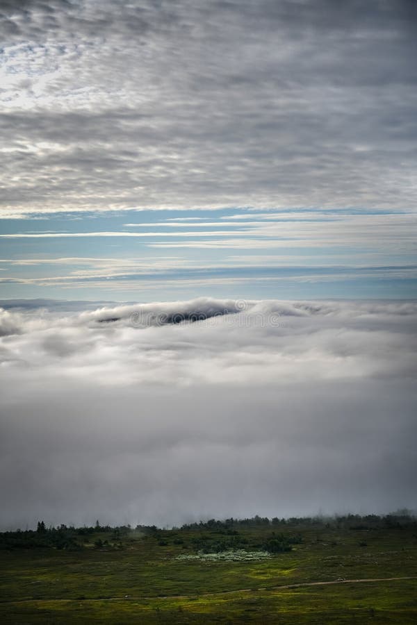 Morning Light Over a Cloudy Forest Valley in Dalarna Sweden Stock Photo ...
