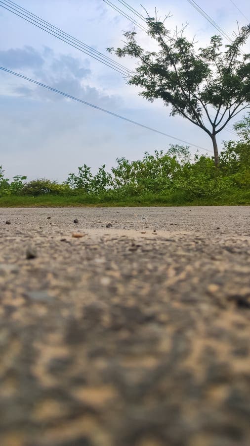 Low Level Photo from Side of Road Stock Photo - Image of flowers ...