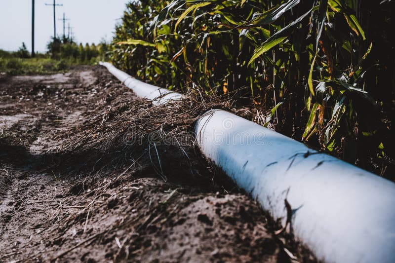 Surface Runoff Water Farm Stock Photos - Free & Royalty-Free Stock ...