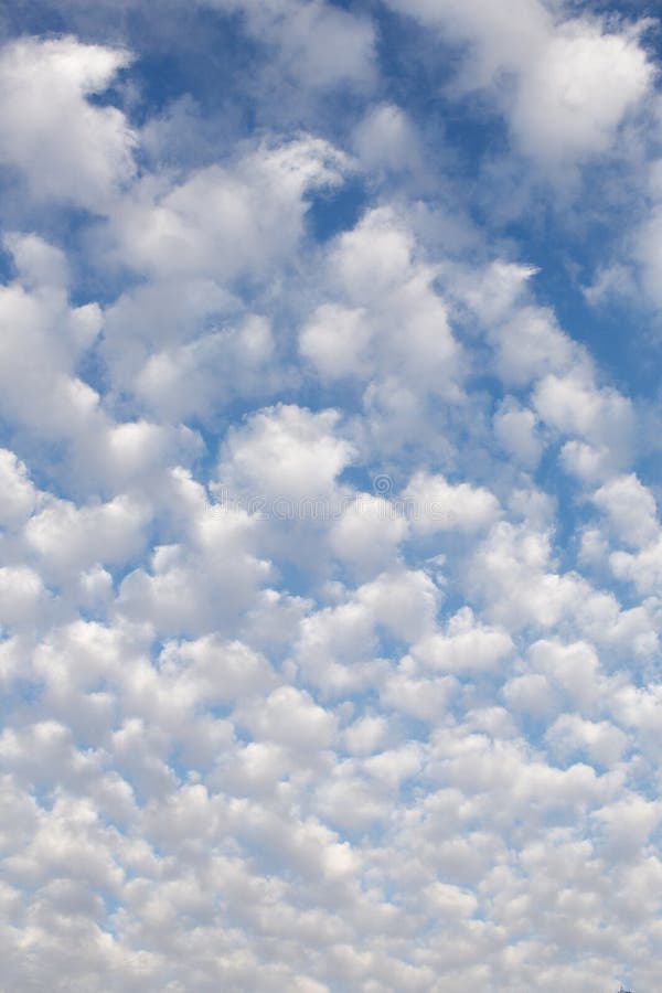 Low Level Stratocumulus Clouds Over Phoenix Stock Image - Image of ...