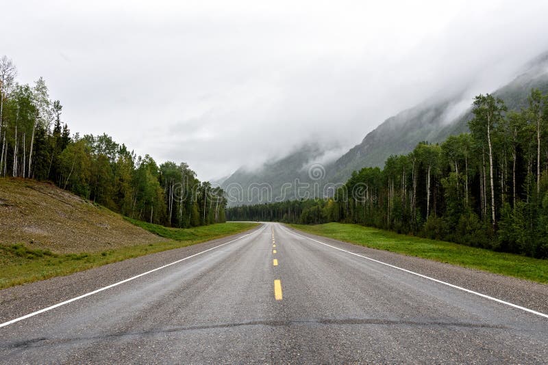 Low level view road stock photo. Image of roadside, dark - 78044320