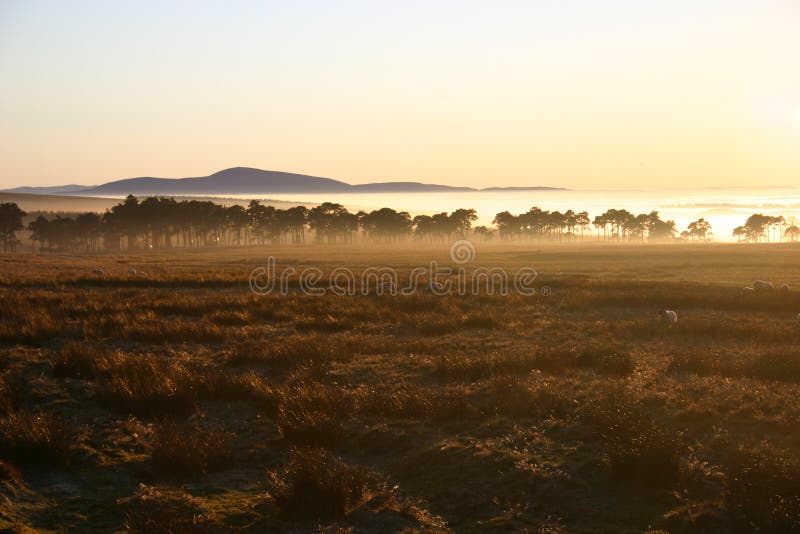 Low Lying Cloud stock photo. Image of lying, lanarkshire - 40548630