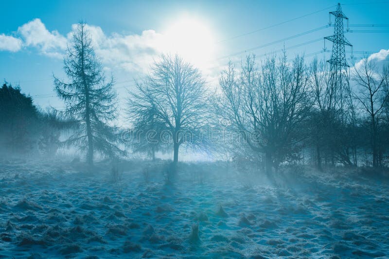 A Low Mist Appears through the Trees on a Cold Winters Day Stock Image ...