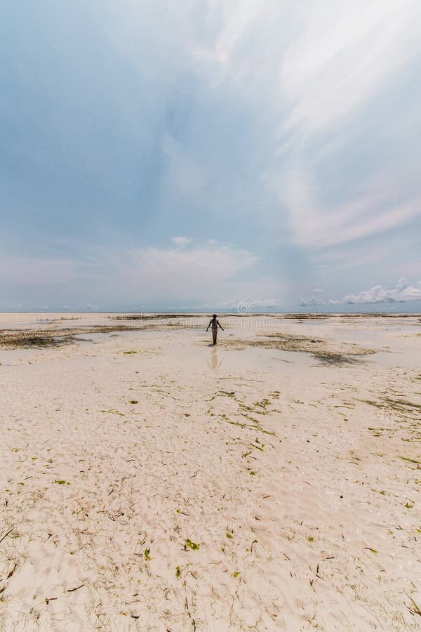 Low Ocean Tide and One Human Silhouette Stands on the Shore Stock Image ...