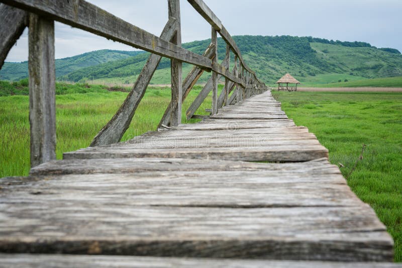 Low Perspective Shot of Wooden Deck Stock Image - Image of background ...