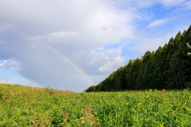 Rainbow field stock photo. Image of blue, landscape, green - 19540234