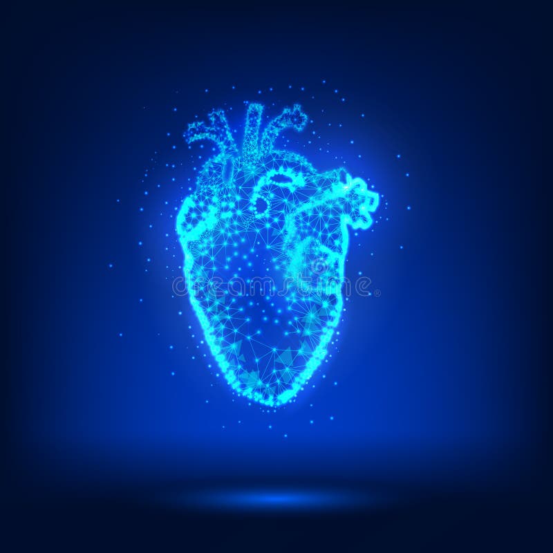 Low Poly Anatomical Human Heart on Dark Background. Polygonal Image ...