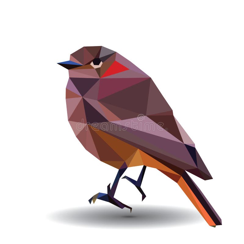 Low poly bird stock vector. Illustration of polygon, colorful - 62022692