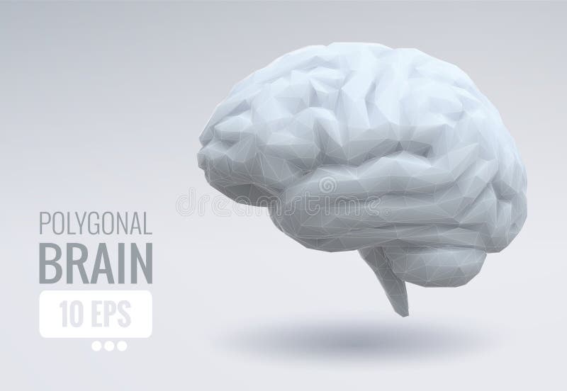 Low Poly Brain Illustration on White Template Color Tone Stock Vector ...