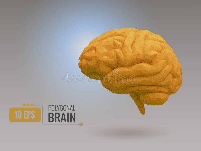 Brain Side View Stock Illustrations – 3,784 Brain Side View Stock ...